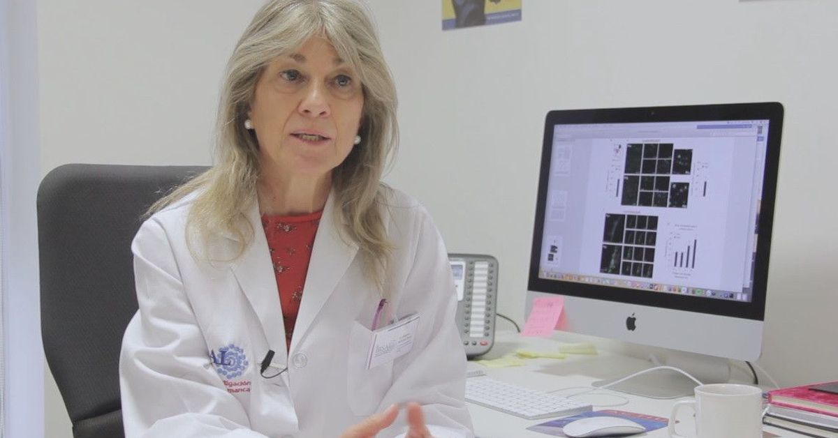 El Ibsal consigue más de dos millones de euros para financiar dos proyectos de medicina ...