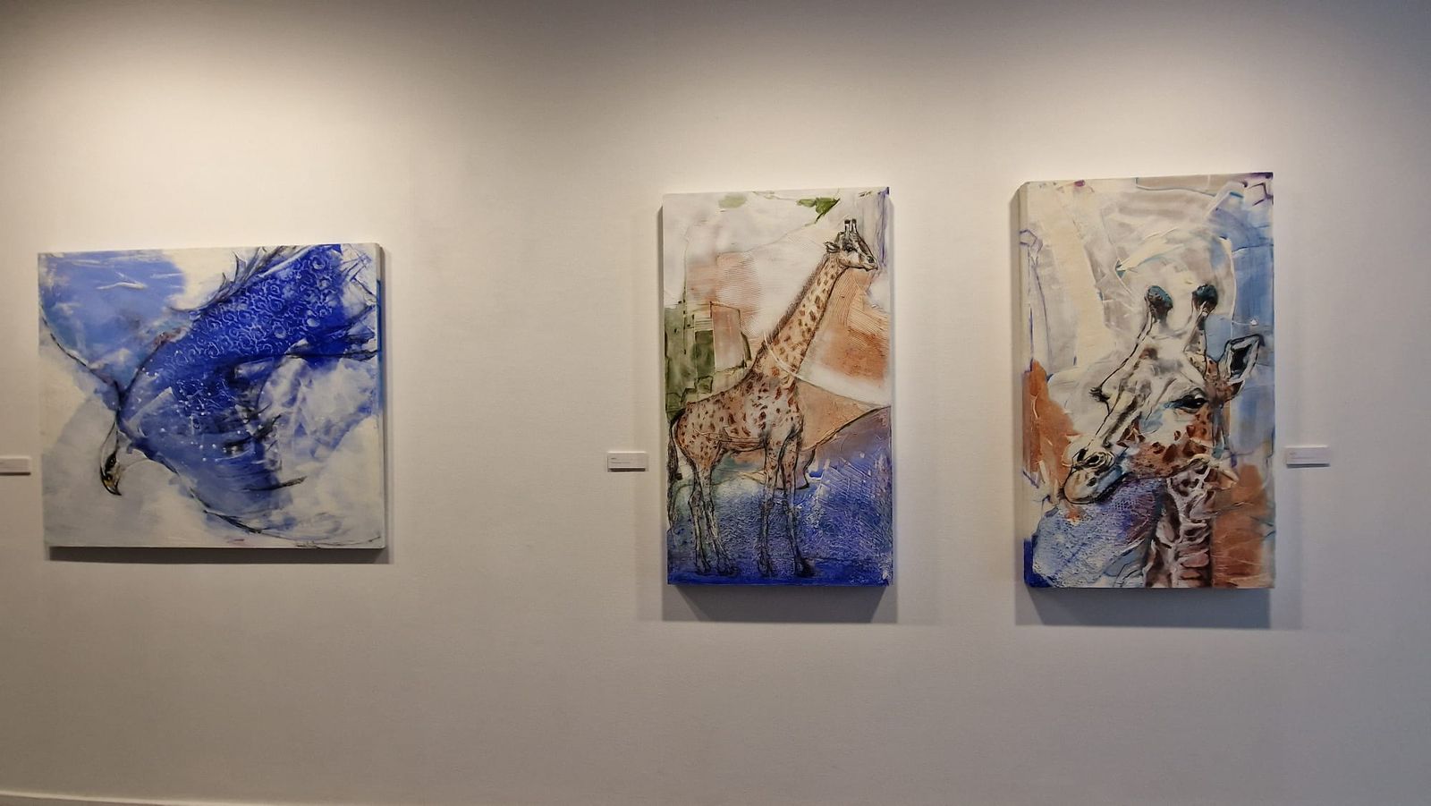 'Animalario', una exposición para concienciar sobre la inminente ...