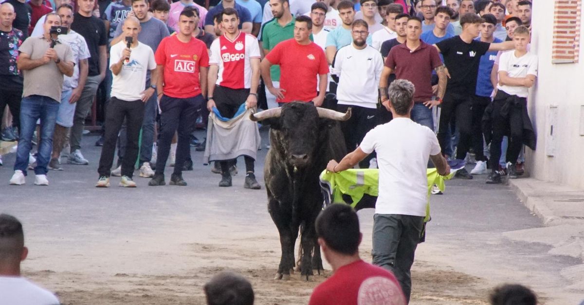 Tradición, toros y fiesta: así se ha vivido el Toro del Cajón y la capea en Alba de Tormes