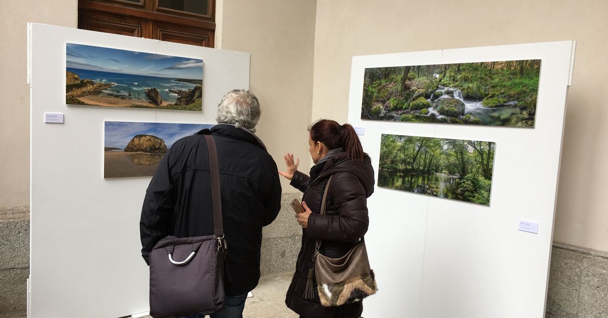 La exposición de Neli Martín se incorpora al catálogo de muestras ...