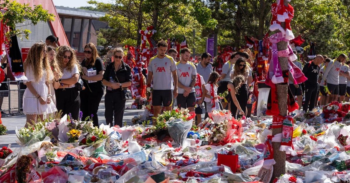VÍDEO | Rute Cardoso, esposa de Diogo Jota, rota de dolor en el ...