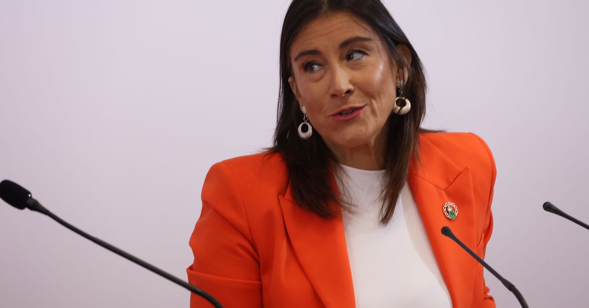 La Dirección del PSOE pide a Ana Sánchez su dimisión como miembro de la ...