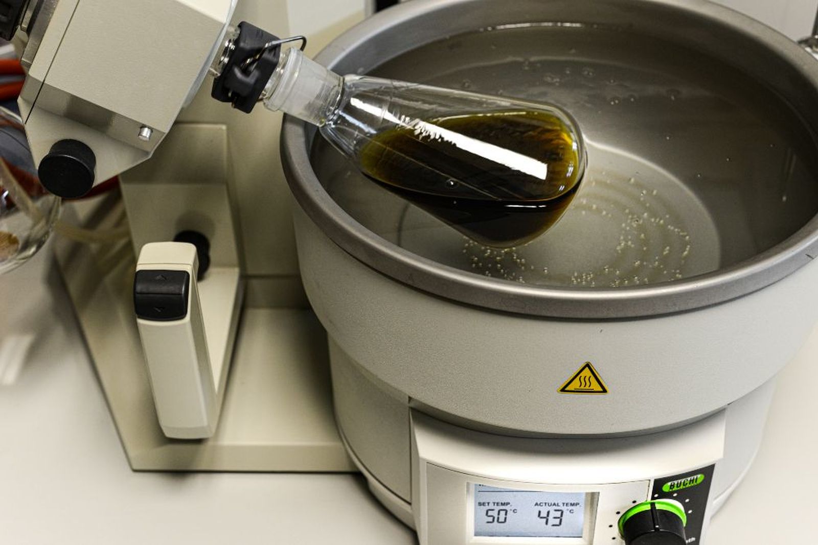 Una investigación de la Junta desvela las propiedades del lúpulo para obtener resinas ...