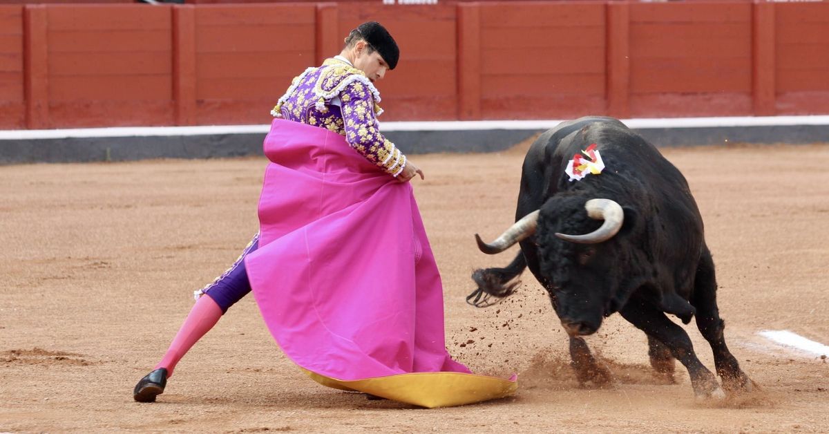 GALERÍA | Las privilegiadas embestidas de ‘Botijero’, del Capea, puro ...