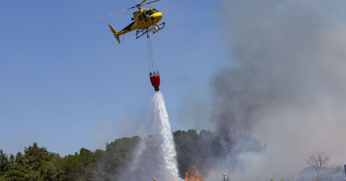 Medio Ambiente aprueba y publica en el Bocyl el Plan Anual contra ...