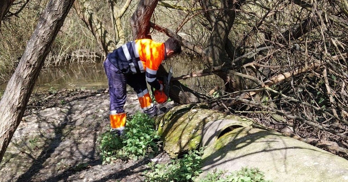 Alba de Tormes limpia los cauces en las zonas cercanas al casco urbano