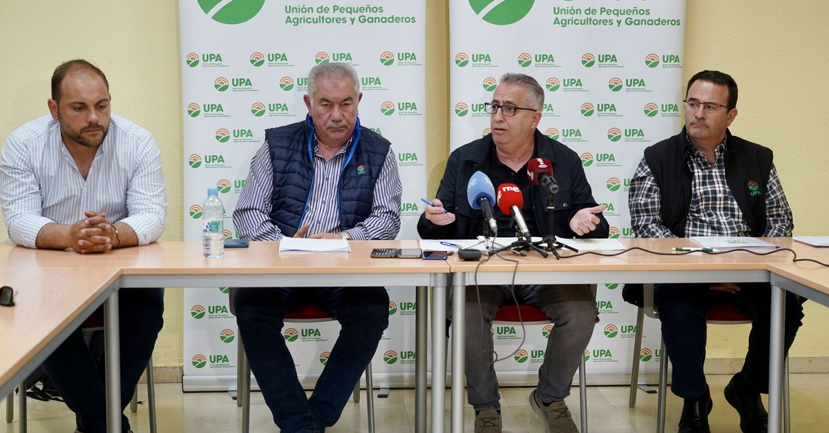 UPA prevé un aumento del 21% en la cosecha de cereal en la Comunidad ...